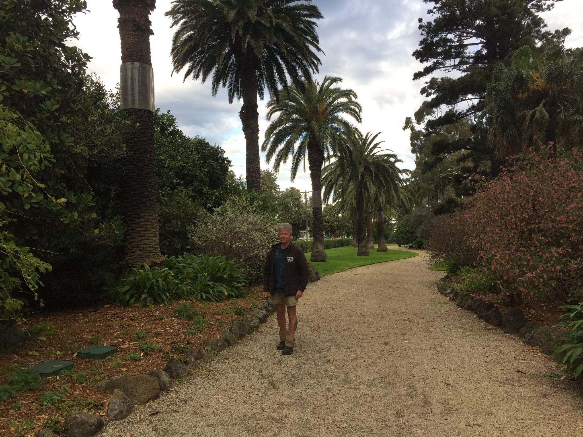 Williamstown wallaby on the hop | Maribyrnong & Hobsons Bay