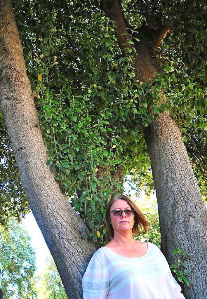 Itchy bomb trees making life 'unbearable'